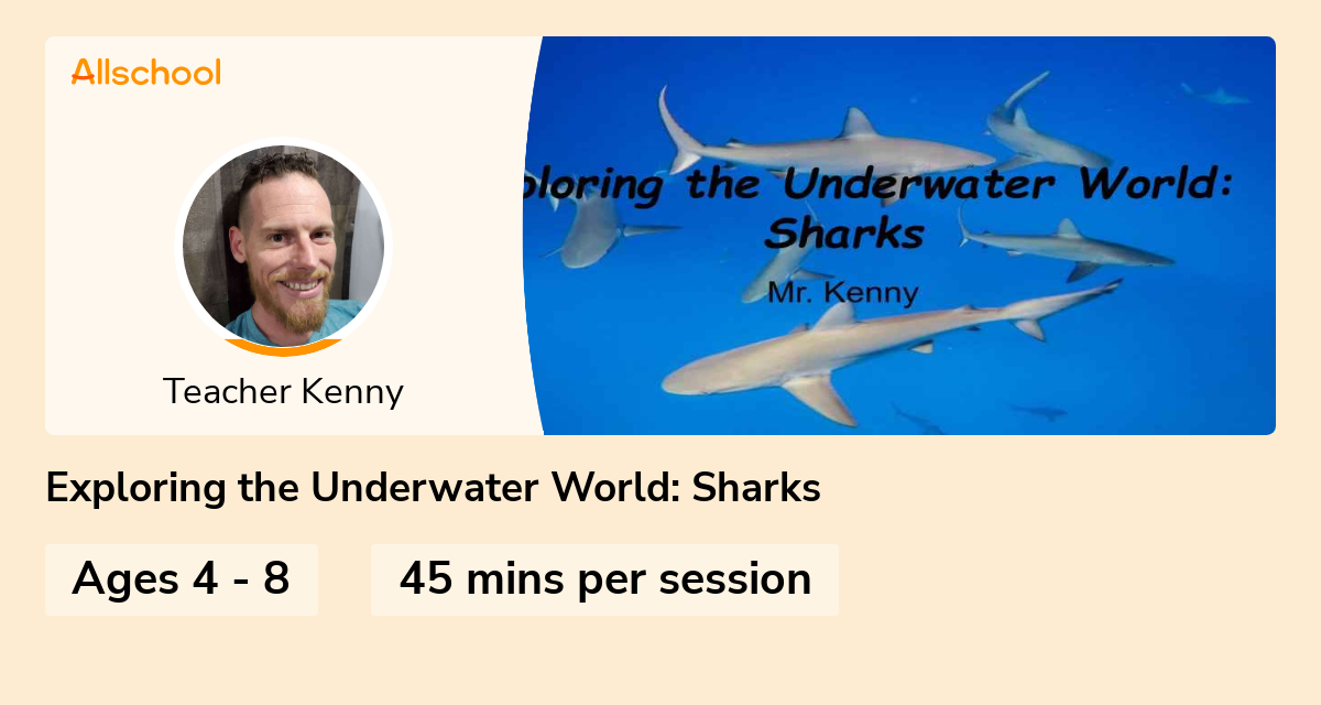 Exploring The Underwater World Sharks Live Interative Class For Ages