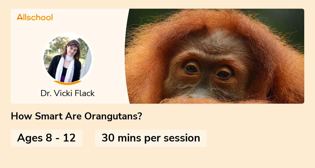 How Smart Are Orangutans? | Live interative class for ages 8-12 ...
